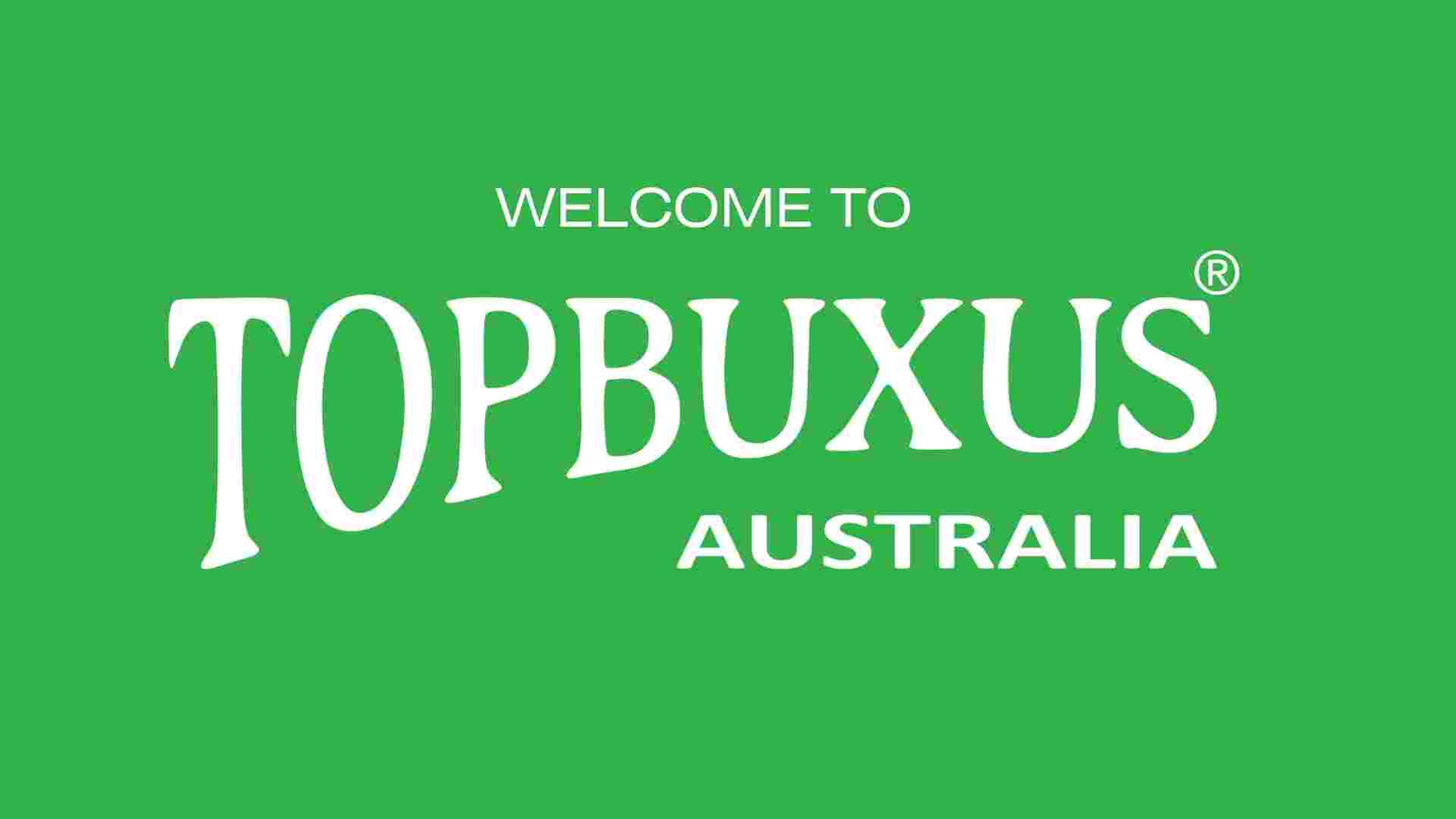Best Buxus Fertiliser Australia | English Box | TOPBUXUS – topbuxus au
