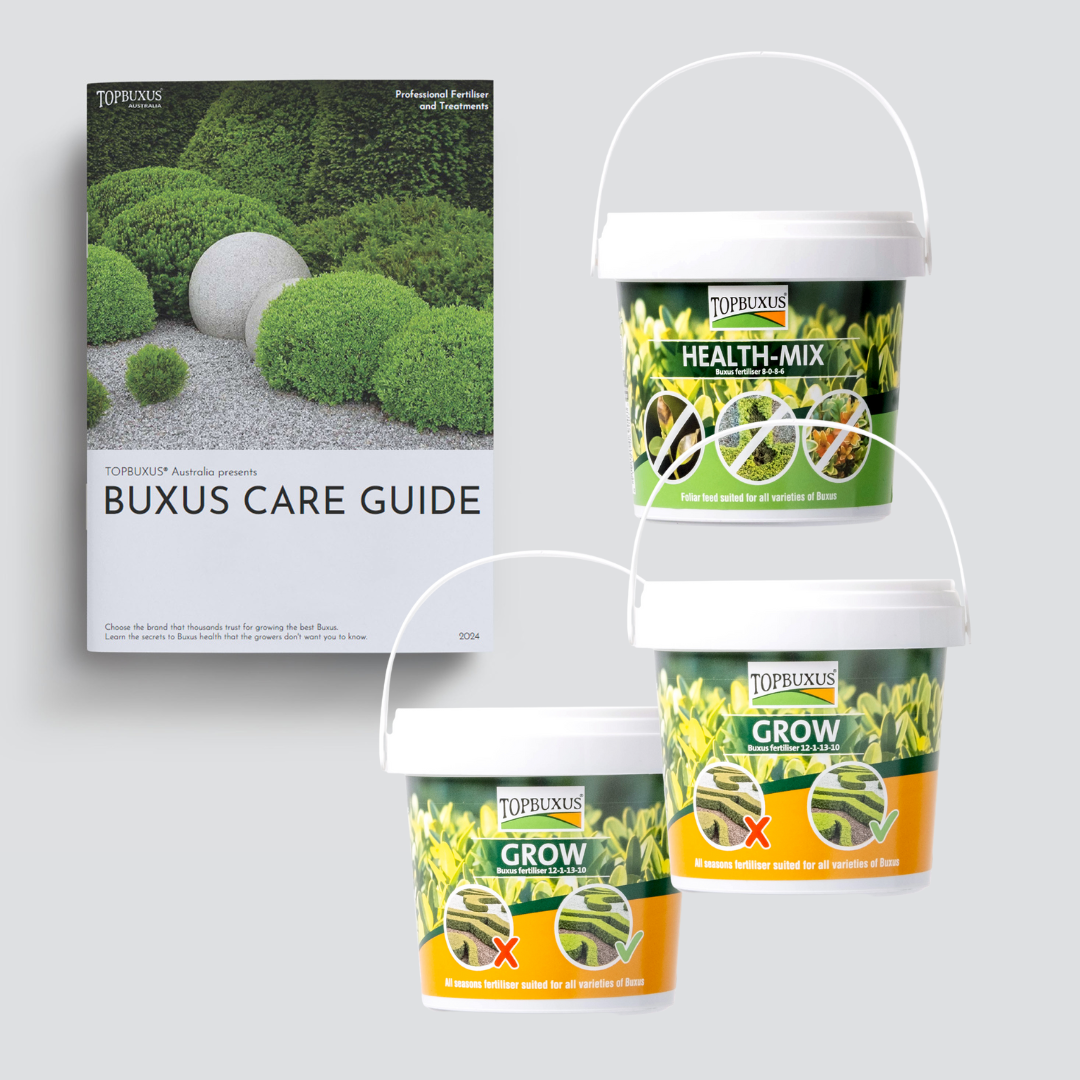 VIP Small Care Guide Bundle – topbuxus au