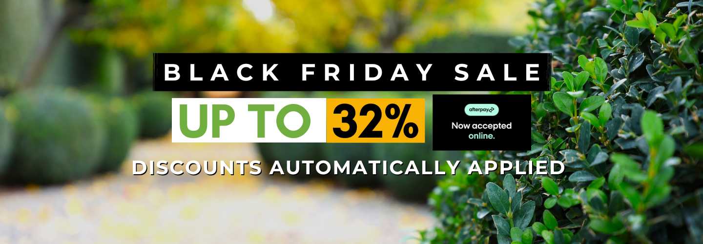 Best Buxus Fertiliser Australia | English Box | TOPBUXUS – topbuxus au